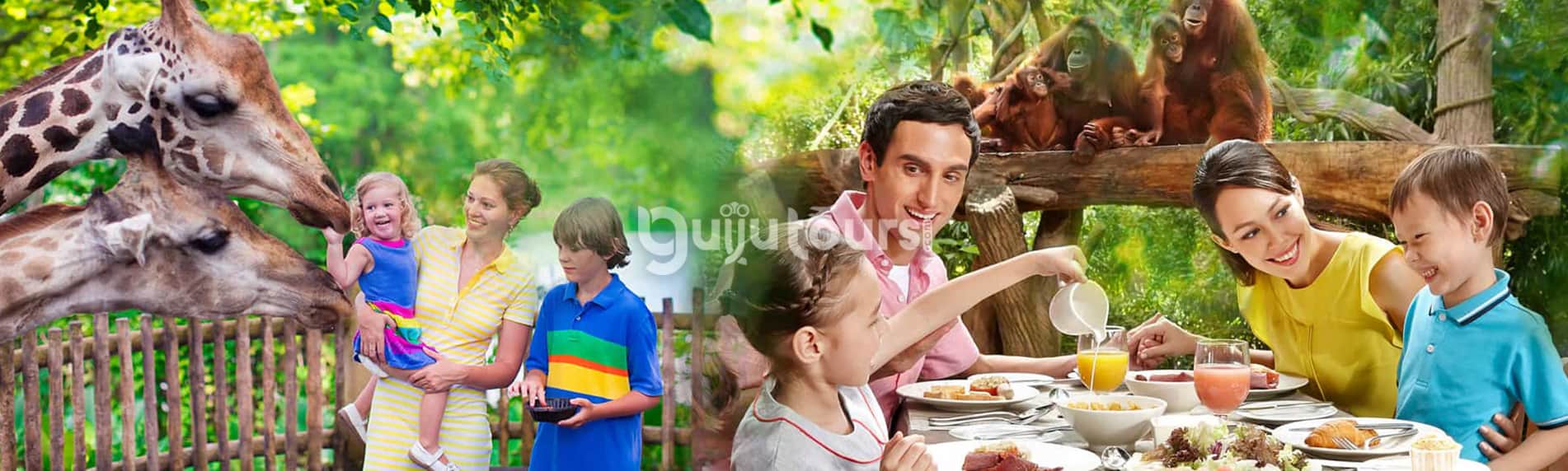 Singapore Zoo - Jungle Breakfast with Orangutans