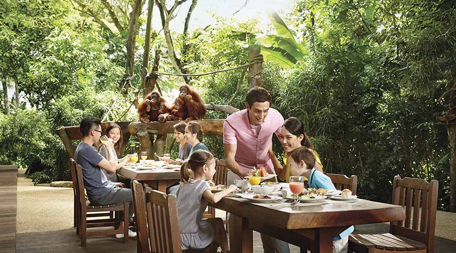 Singapore Zoo - Jungle Breakfast with Orangutans